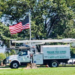 Pro Care Tree Service LLC